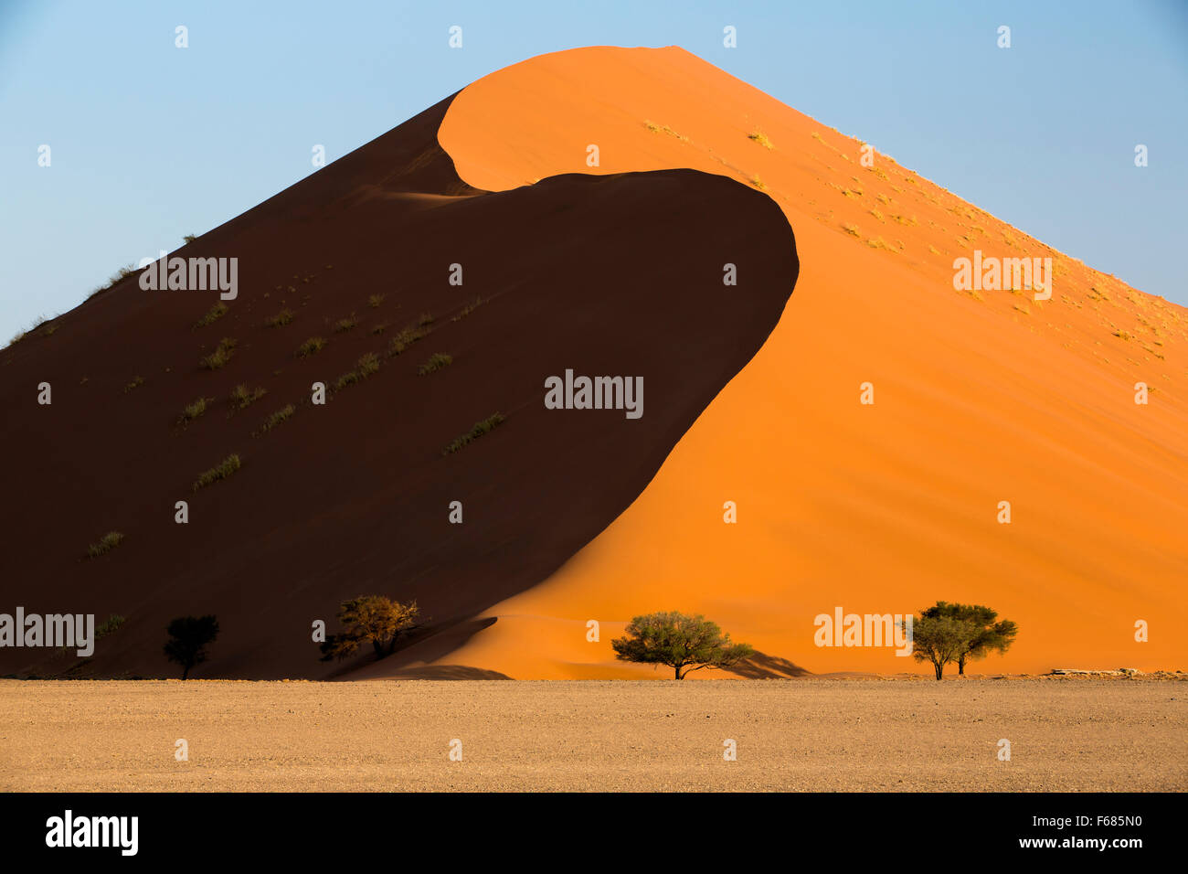 Africa salt marsh hi-res stock photography and images - Alamy