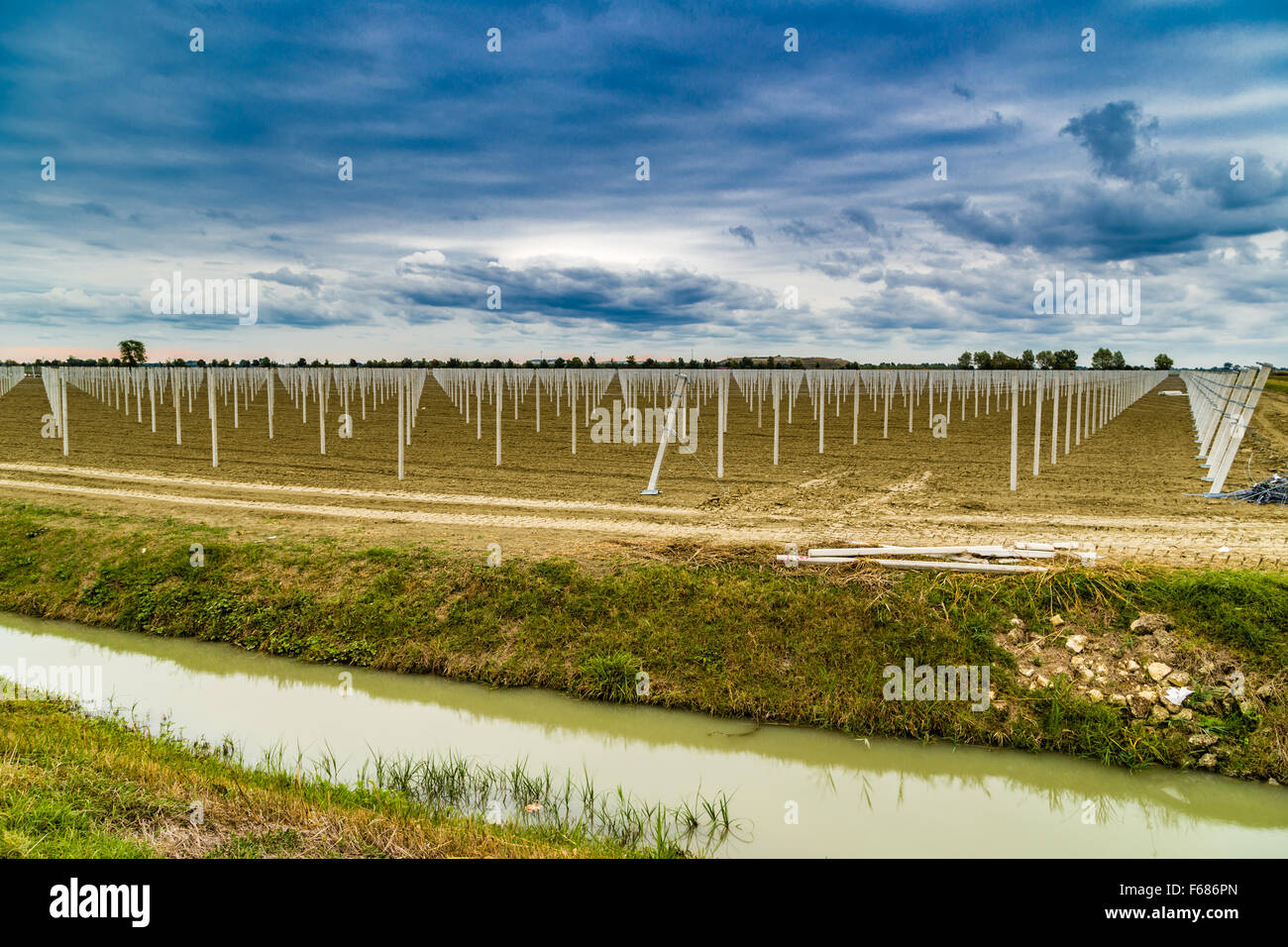 rows of precast concrete white poles driven into the ground to support ...