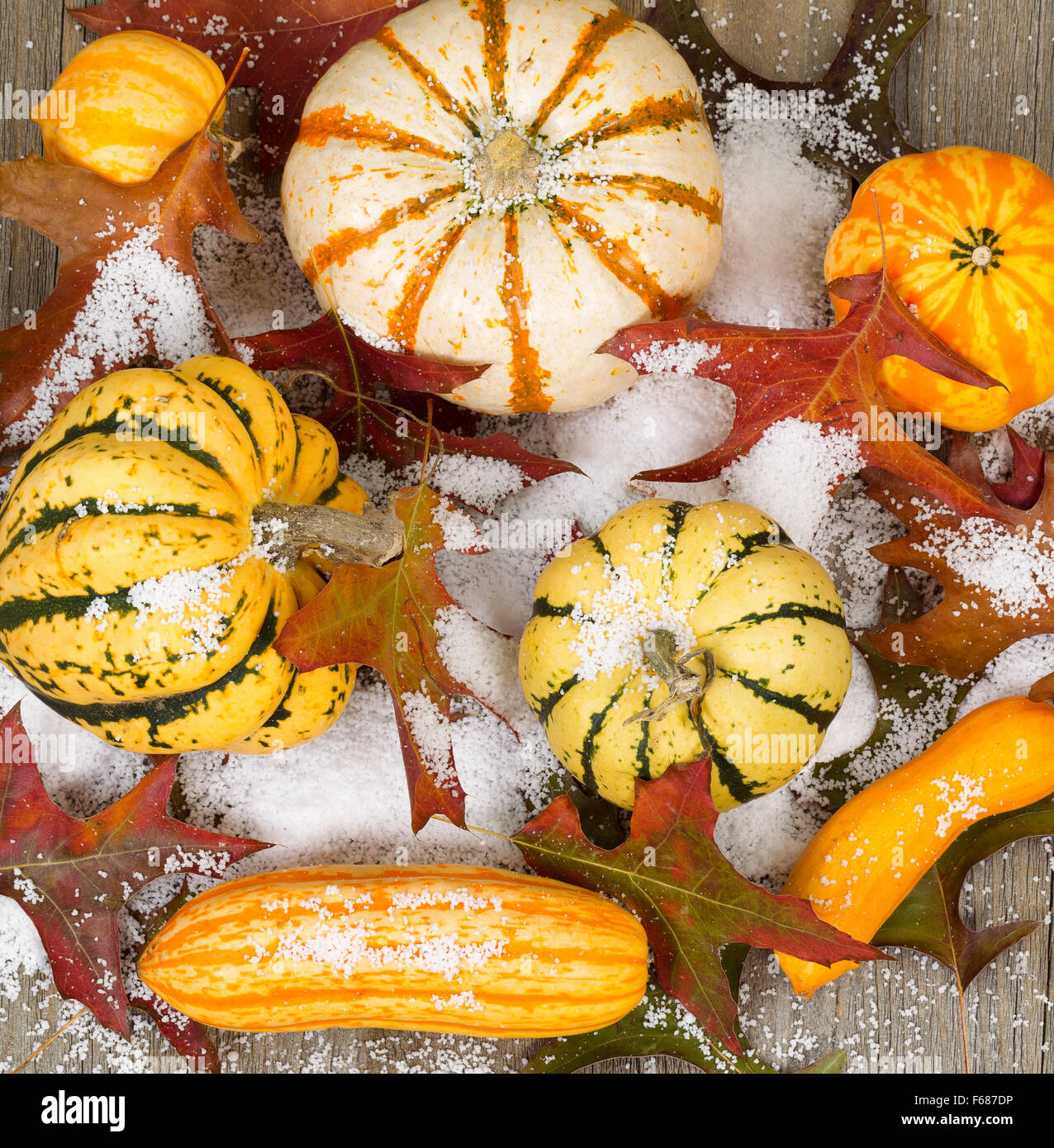 High angled view of snow covered autumn still life objects consisting ...