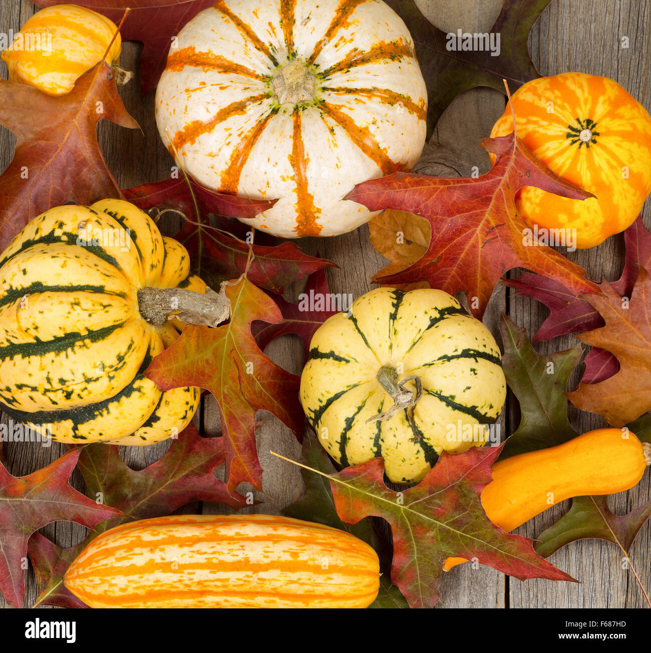 Fall objects hi-res stock photography and images - Alamy