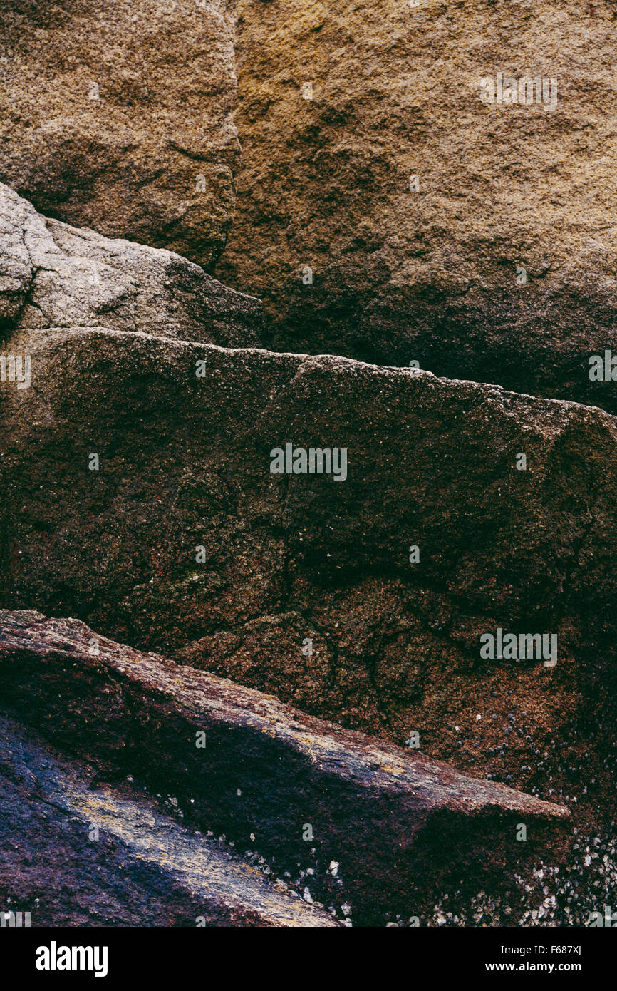 Sea shell texture hi-res stock photography and images - Alamy