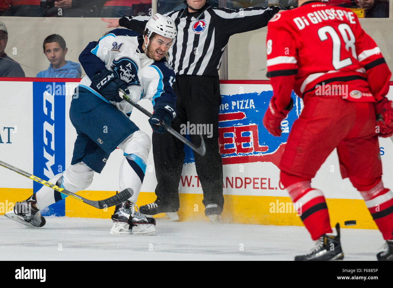 Milwaukee Admirals Forward Jamie Devane (17) during the AHL game ...