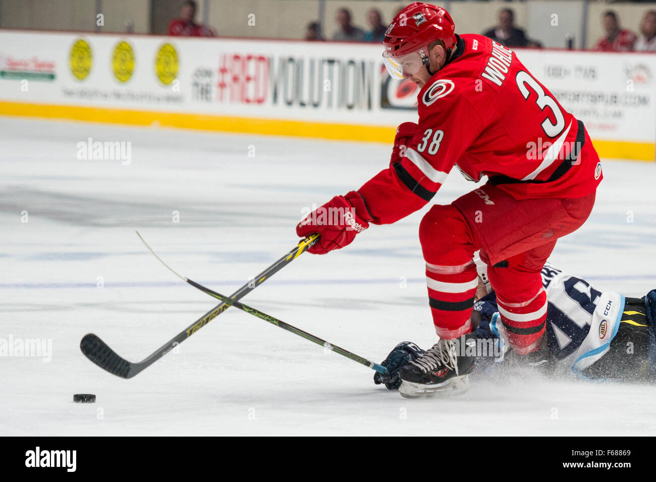 Charlotte Checkers Forward David Wohlberg (38) during the AHL game ...