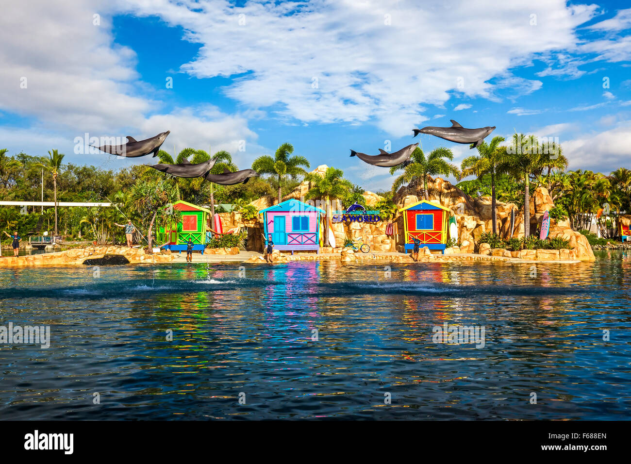 GOLD COAST, AUSTRALIA - MARCH 31, 2015 Dolphin show at Seaworld ...
