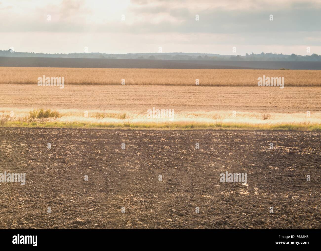 View on autumn field Stock Photo - Alamy