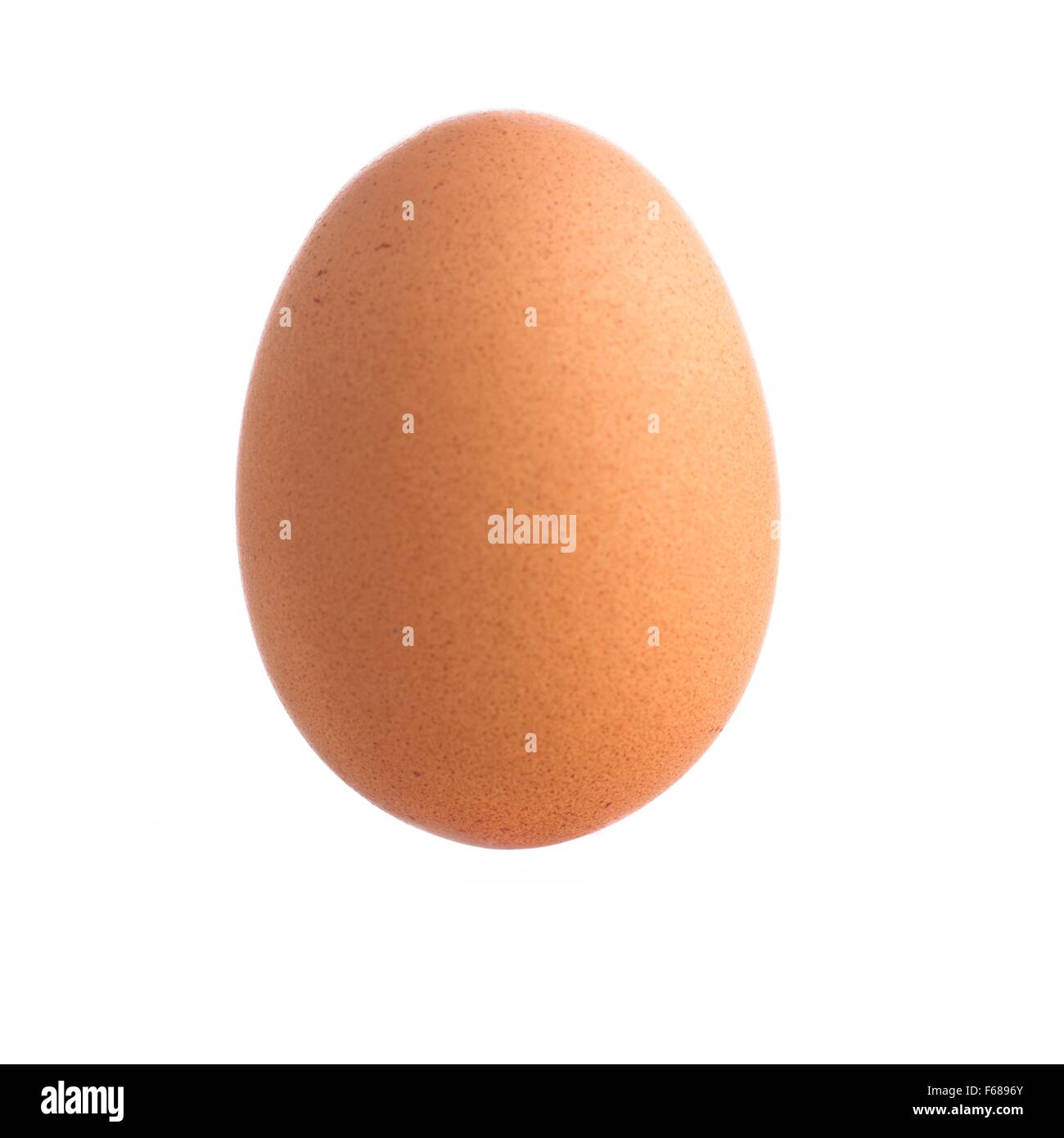 Chicken egg Stock Photo - Alamy Chicken egg Stock Photo - Alamy
