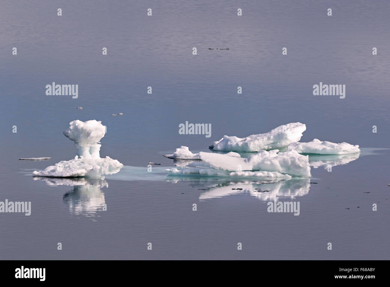 Ice floes, edge of pack-ice, Arctic Ocean, Spitsbergen Island, Svalbard ...