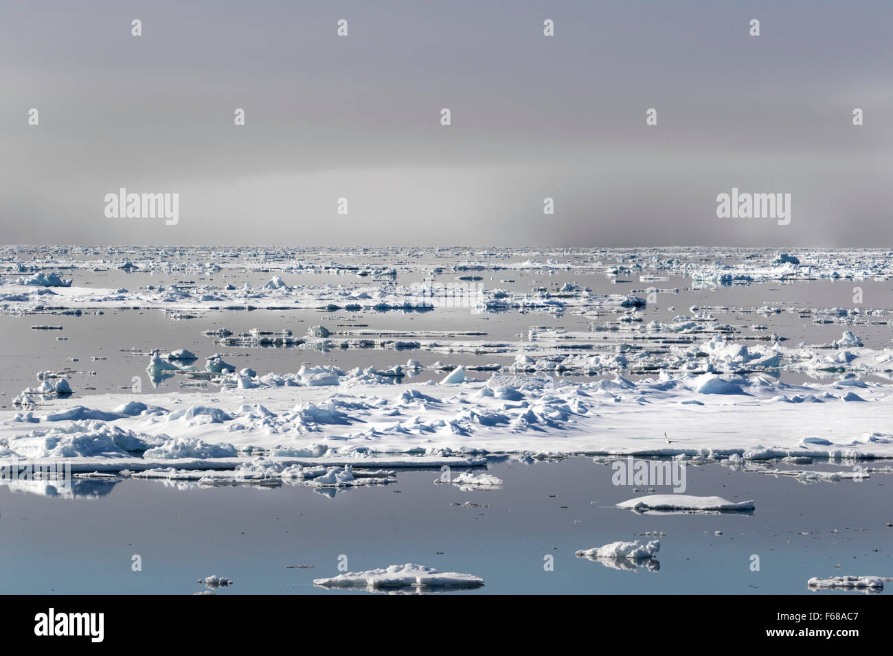 Ice floes, edge of pack-ice, Arctic Ocean, Spitsbergen Island, Svalbard ...