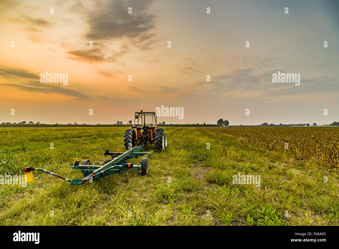 old tractor and trailer next to a land where maize was harvested Stock ...