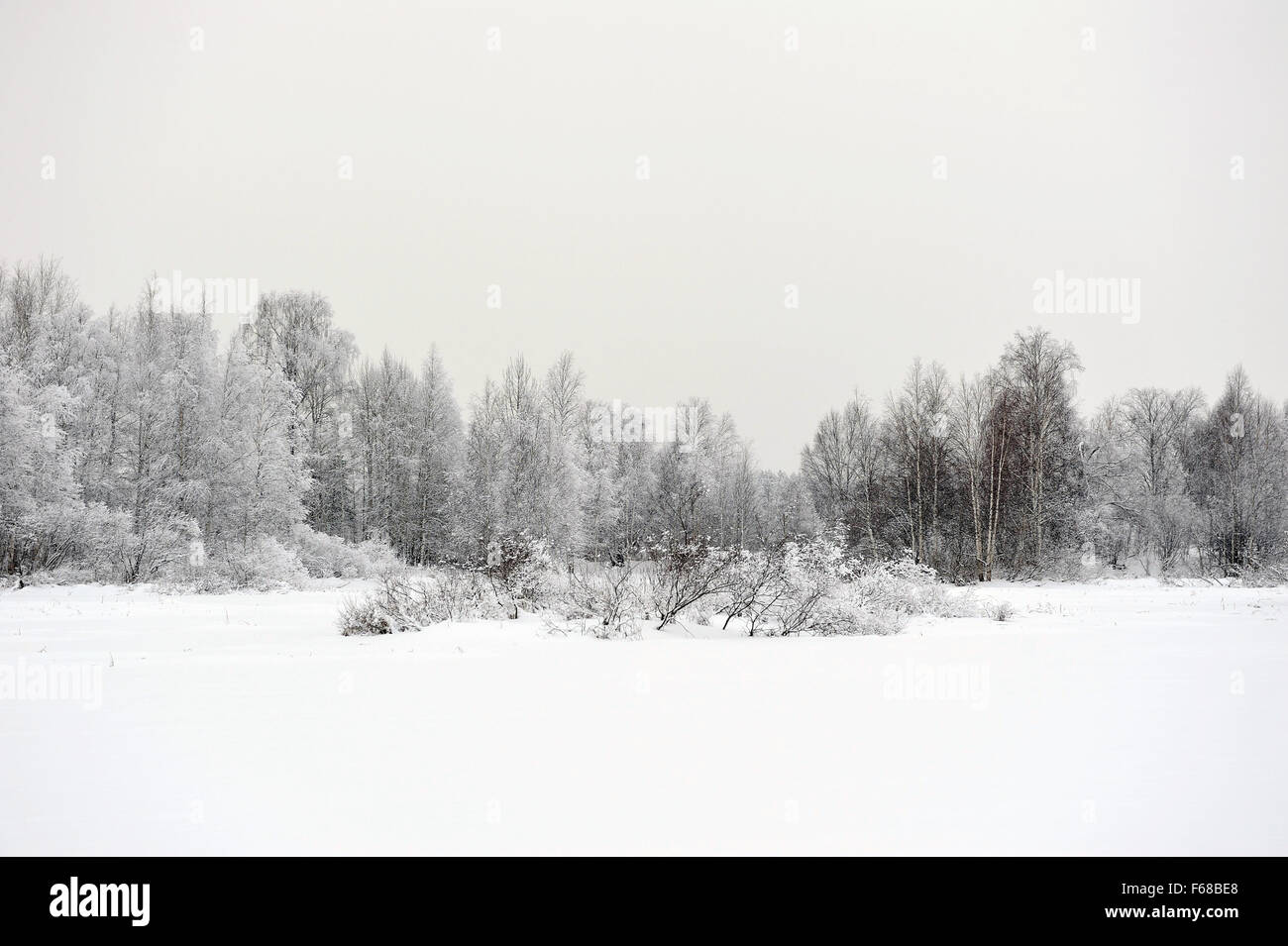 Taiga lake in early winter with snow and hoarfrost Stock Photo - Alamy