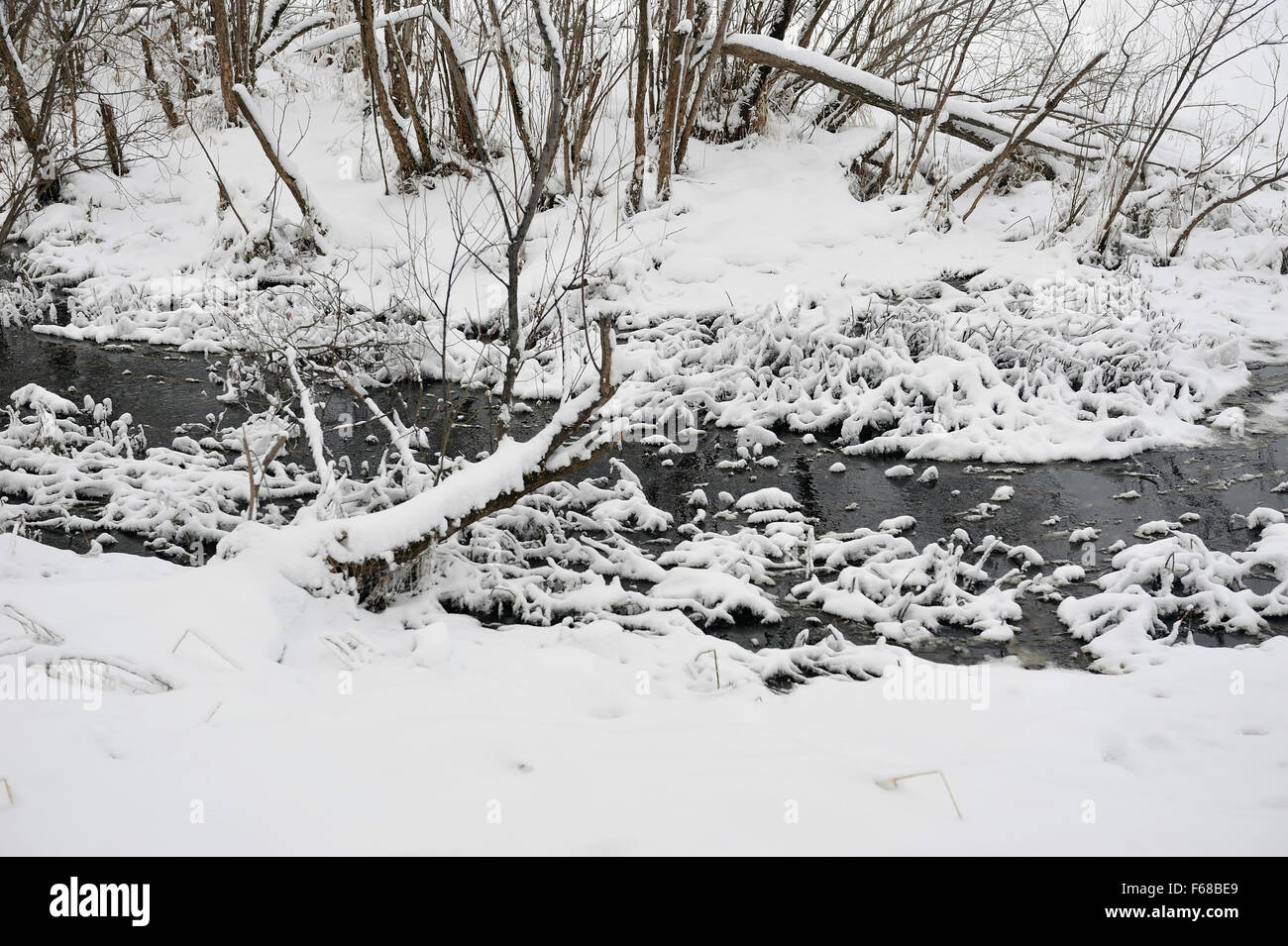 Details of the wild stream on a cold day Stock Photo - Alamy