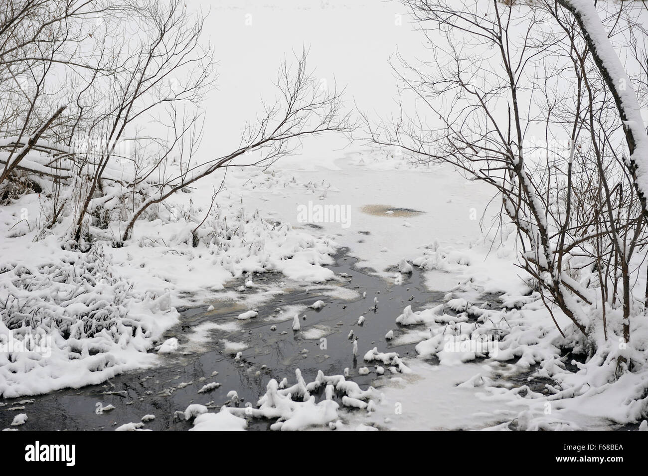 Details of the wild stream on a cold day Stock Photo - Alamy