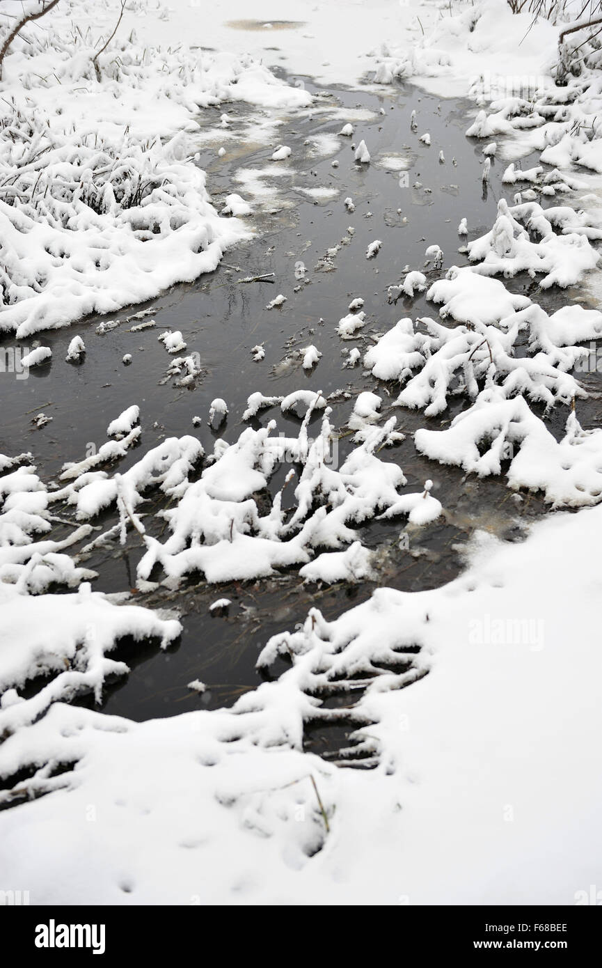 Details of the wild stream on a cold day Stock Photo - Alamy