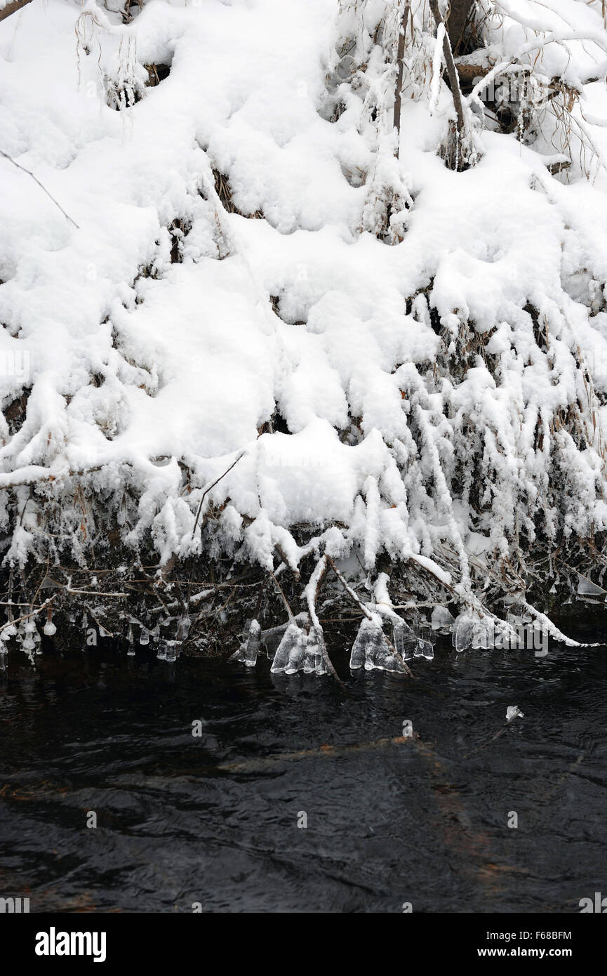 Details of the wild stream on a cold day Stock Photo - Alamy