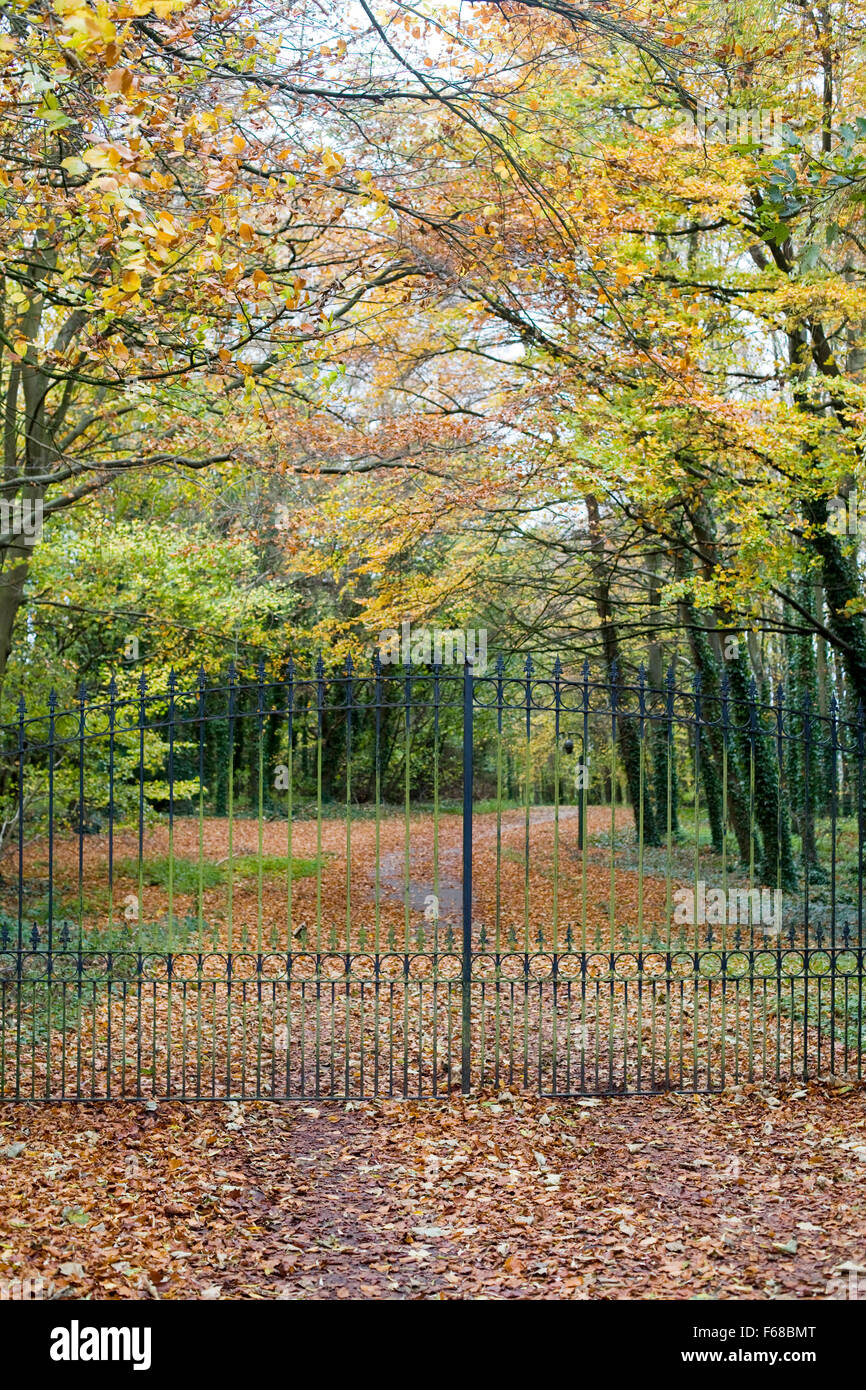 Stunning gates hi-res stock photography and images - Alamy