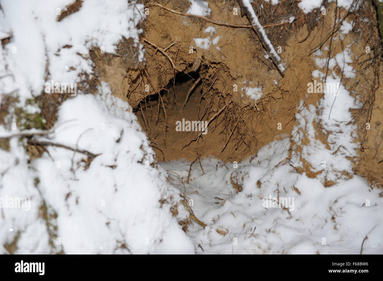 Foxhole hi-res stock photography and images - Alamy