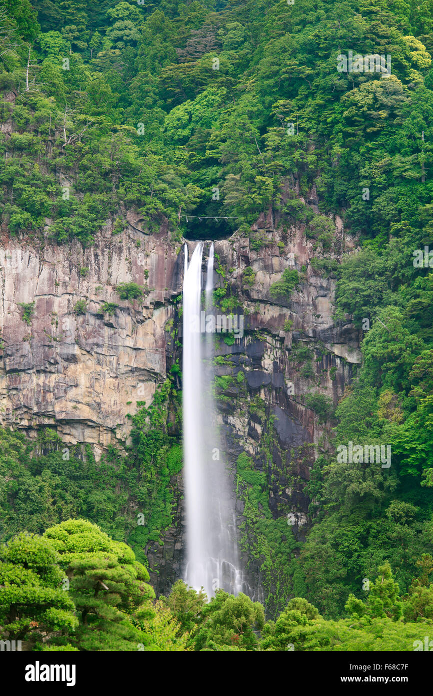 Nachi waterfall nature wild forest landscape in outdoor park. Kumano ...