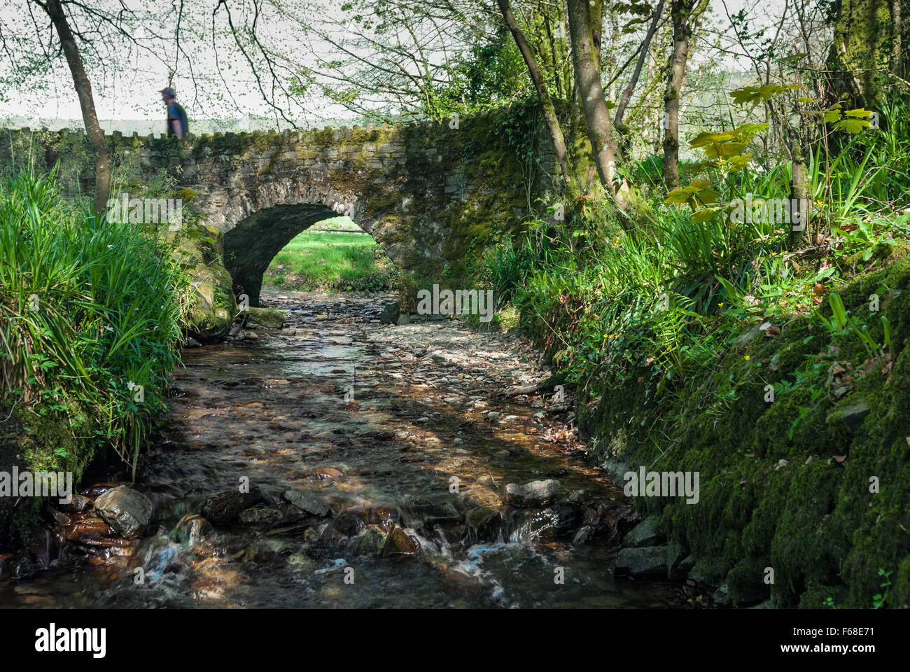 Small stone bridge across a stream near the River Barle, Somerset ...