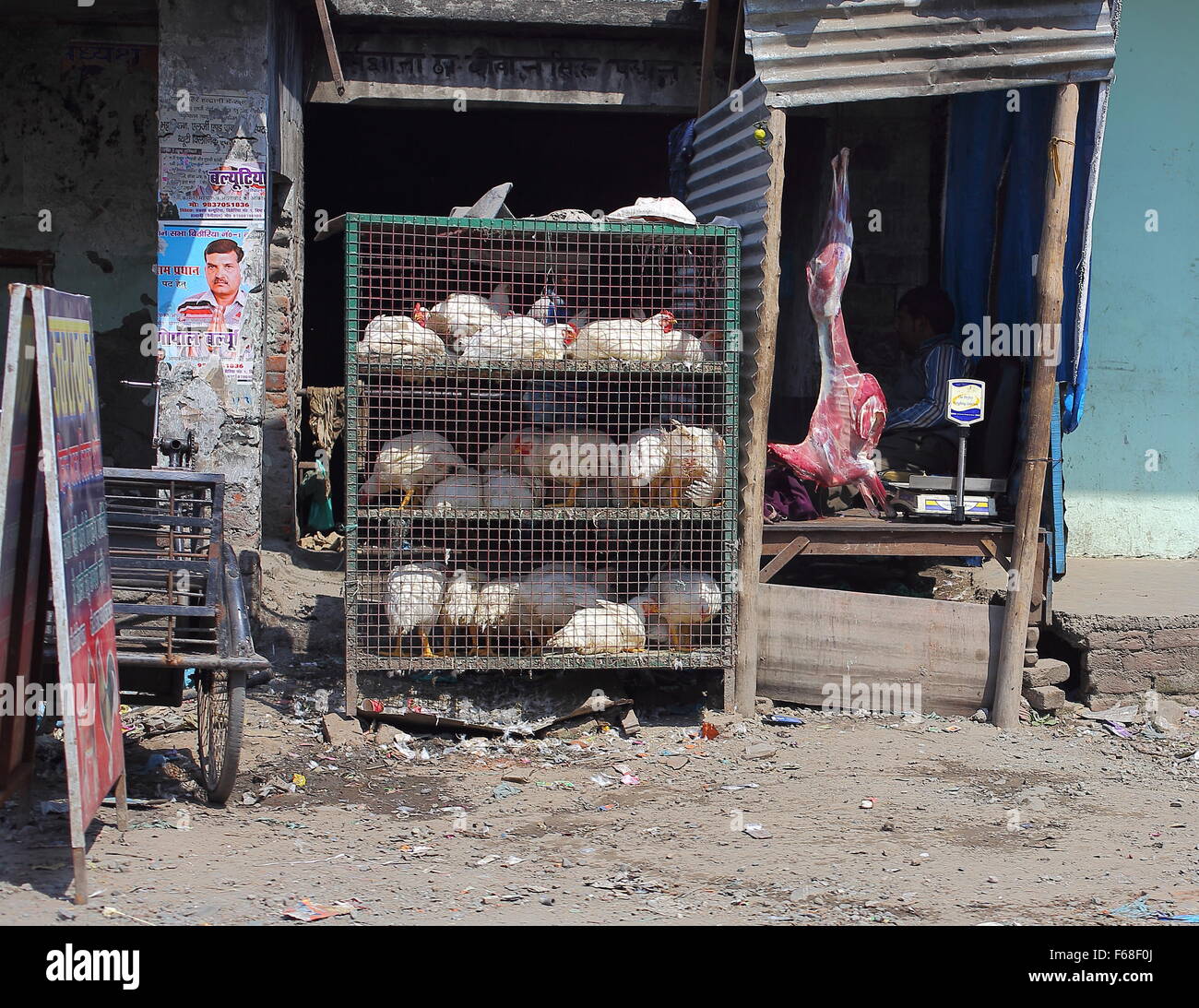 Chickens and animal carcass in a Butcher's shop, Kathgodam, India Stock ...