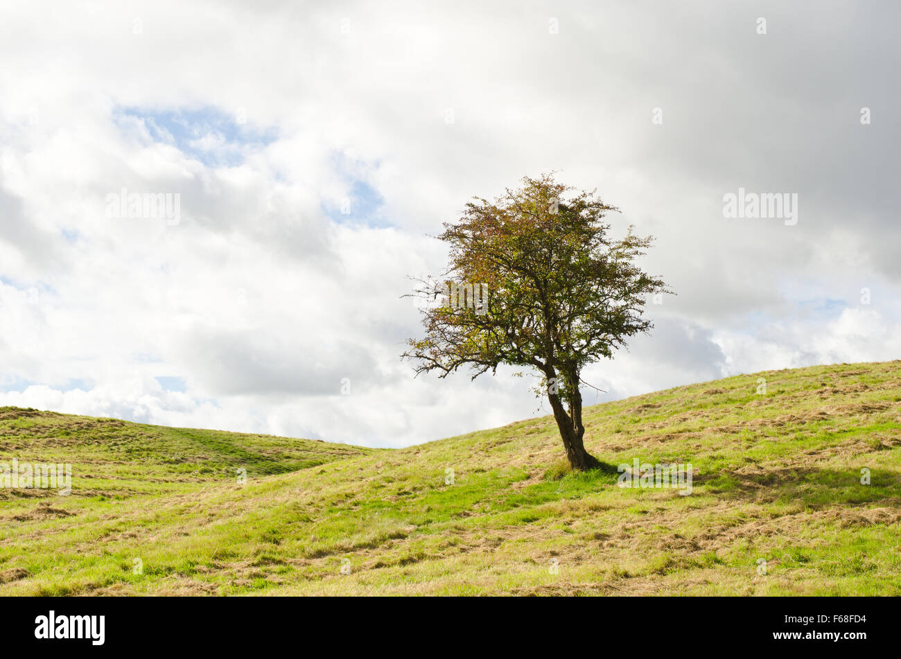 Hilly countryside hi-res stock photography and images - Alamy