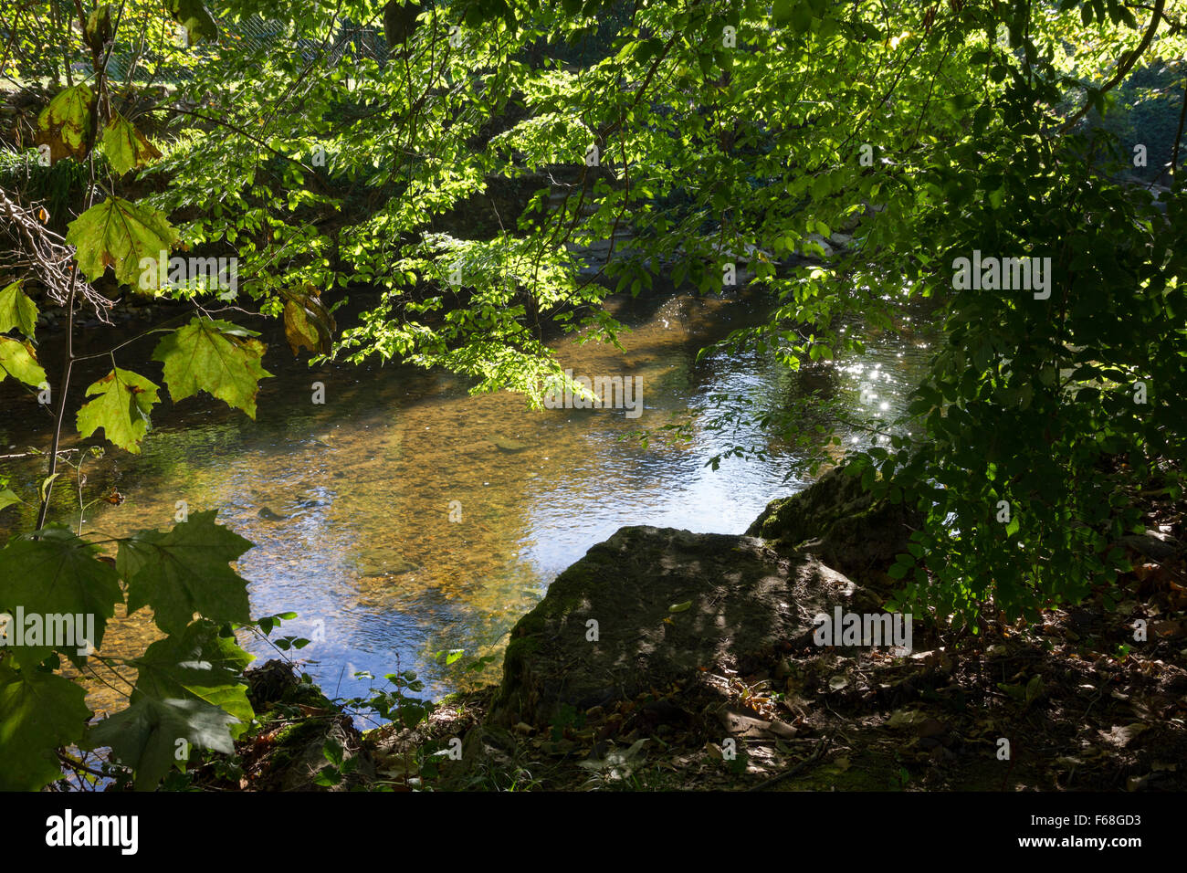 River bave hi-res stock photography and images - Alamy