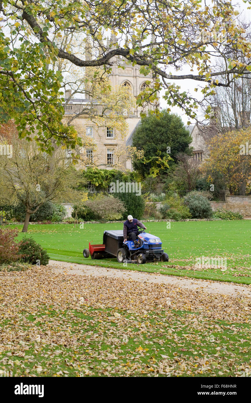 Lawn mower man hi-res stock photography and images - Alamy