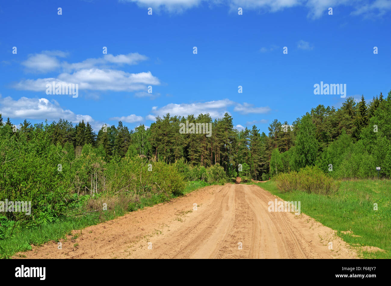 Road to forest Stock Photo - Alamy