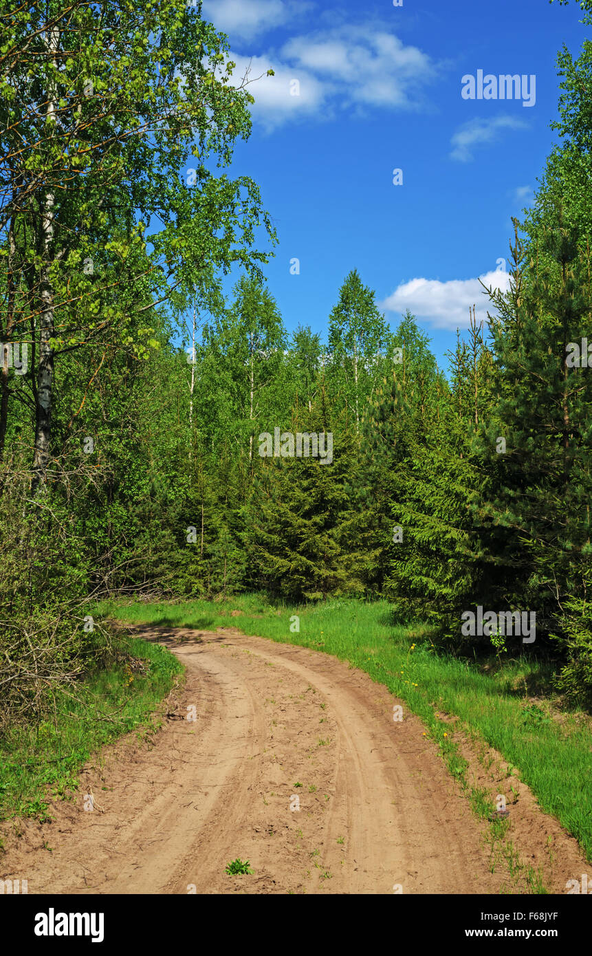 Road to forest Stock Photo - Alamy