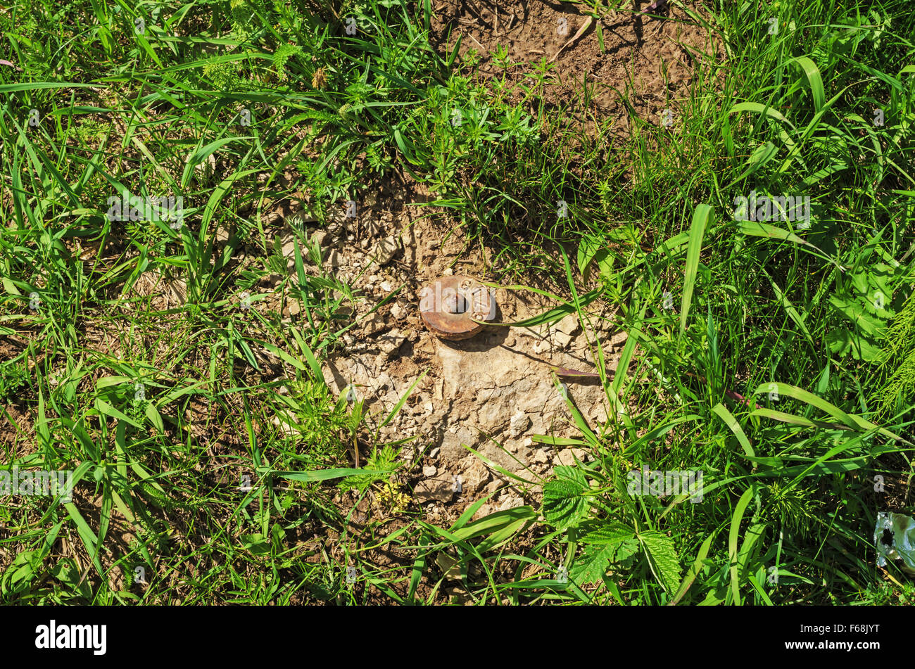 Geodetic point - the concreted metal disk with individalny number in ...