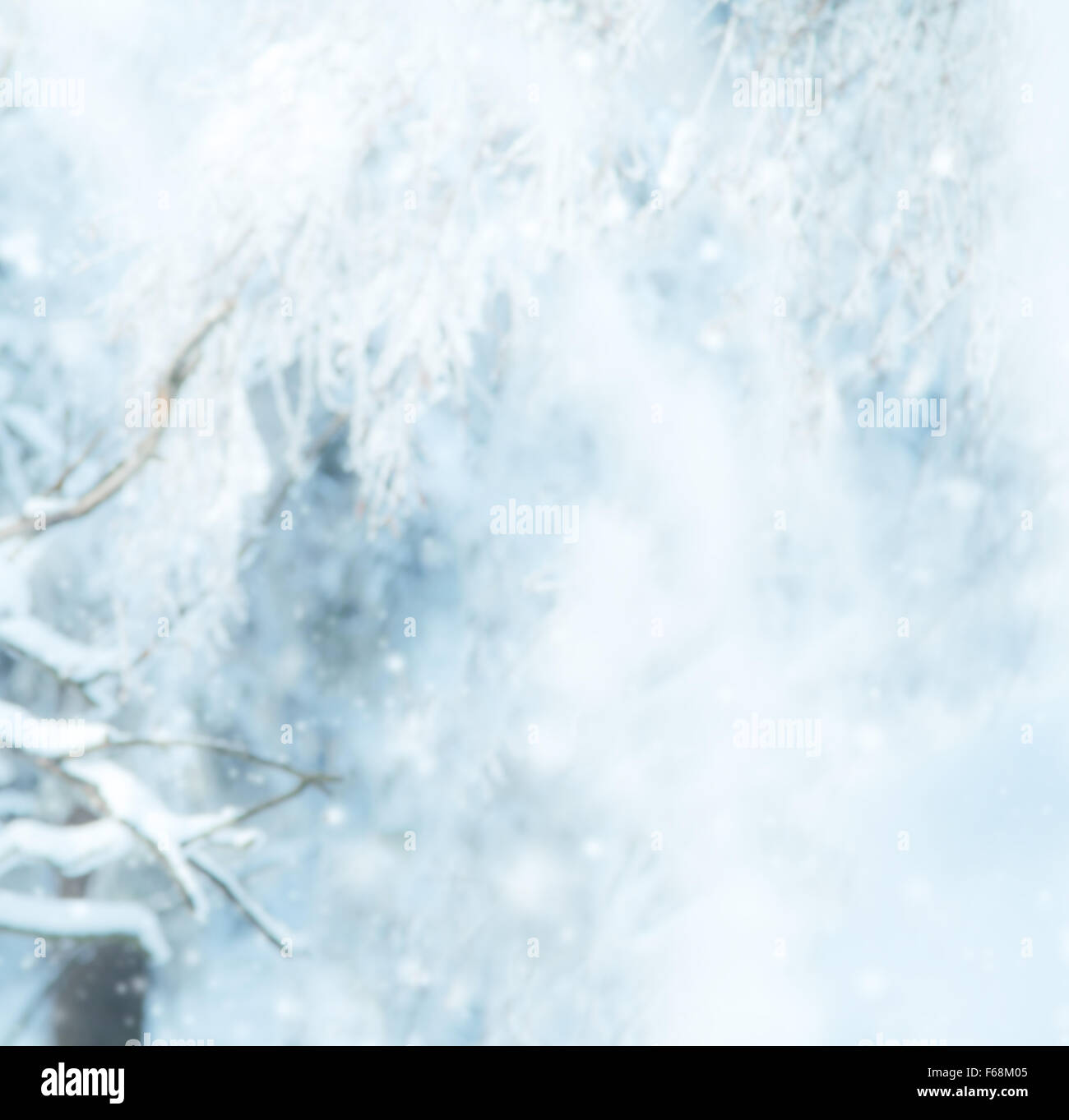 abstract blur winter background Stock Photo - Alamy