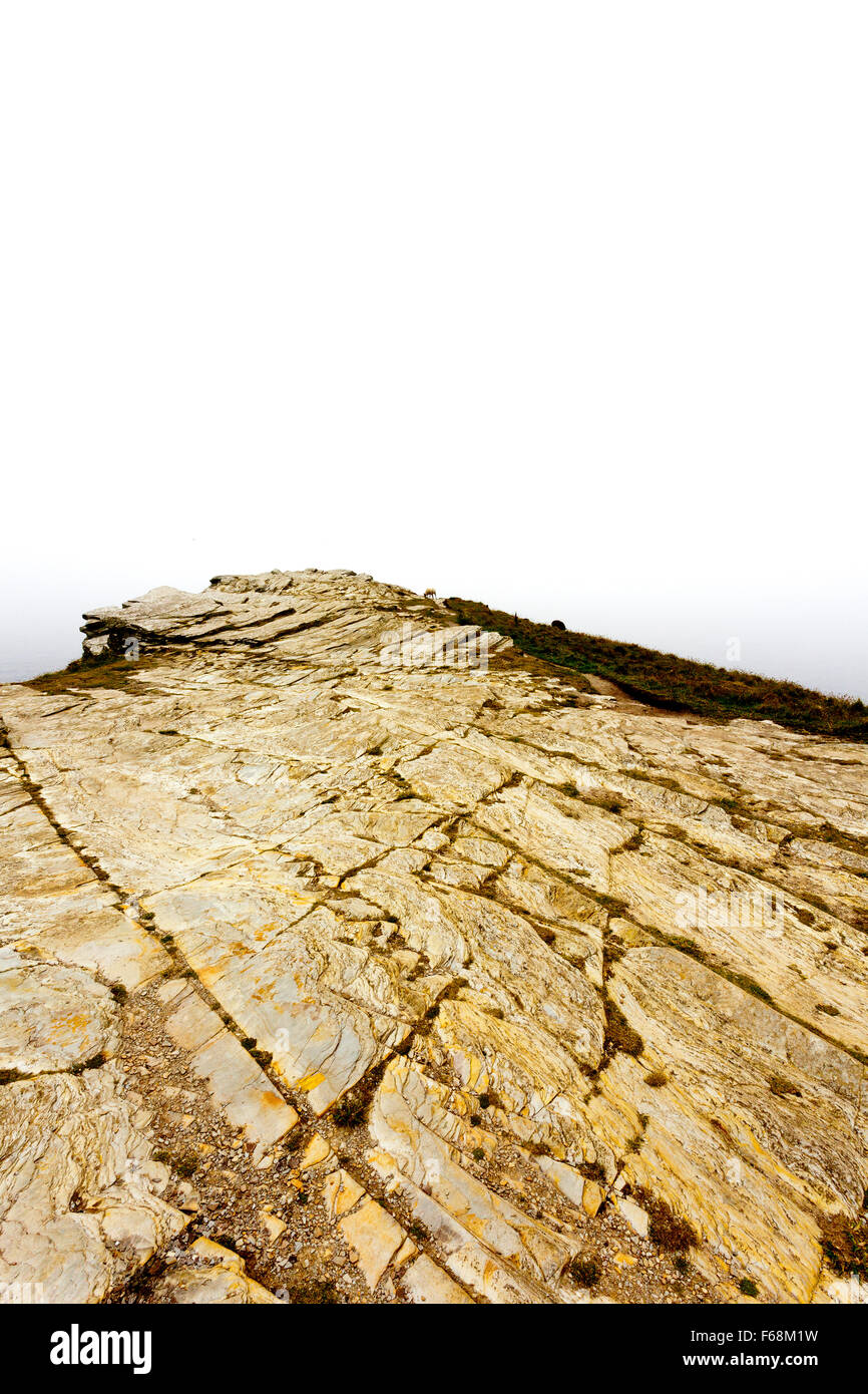 The Old Devonian slate rock strata at the summit of Tintagel Castle ...