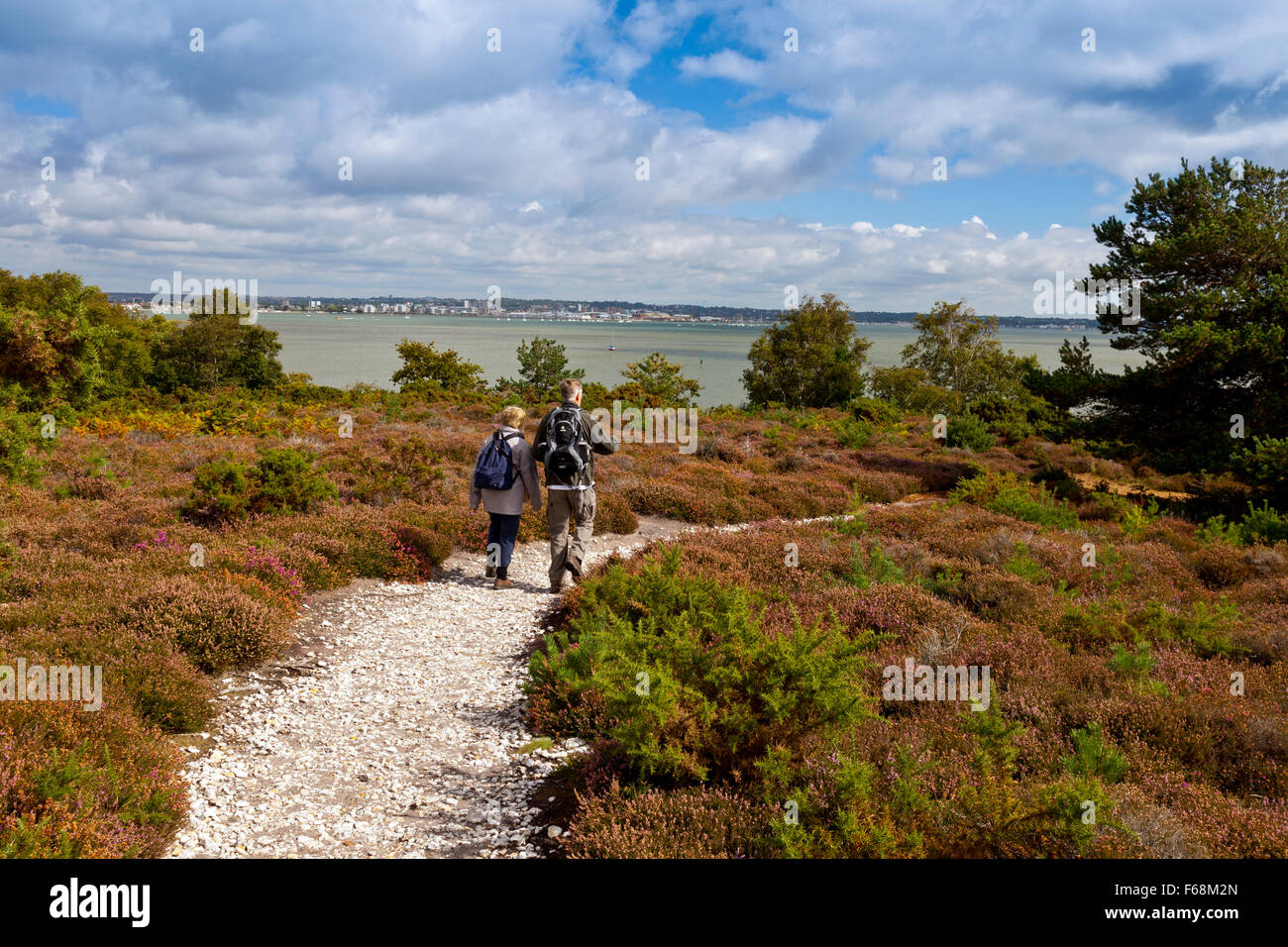 Visitors walking through the RSPB Arne reserve in Poole Harbour, Dorset ...