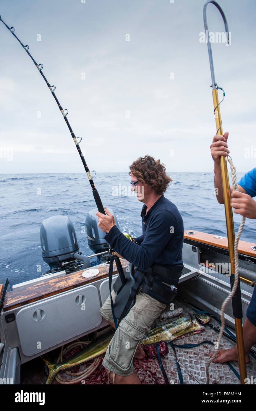 Large marlin hi-res stock photography and images - Alamy