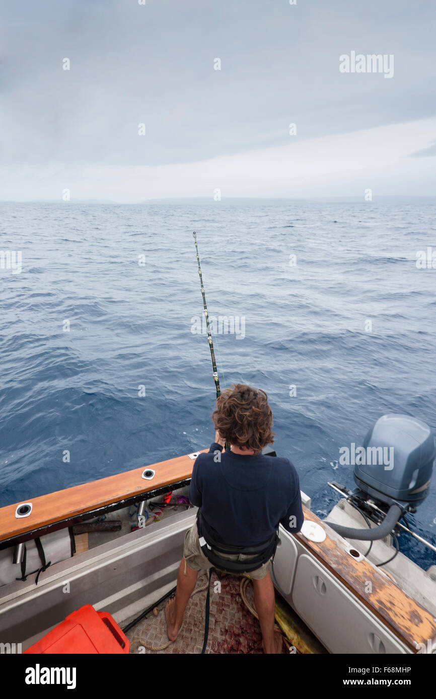 boating and fishing a man catches a large marlin or sailfish in the ...