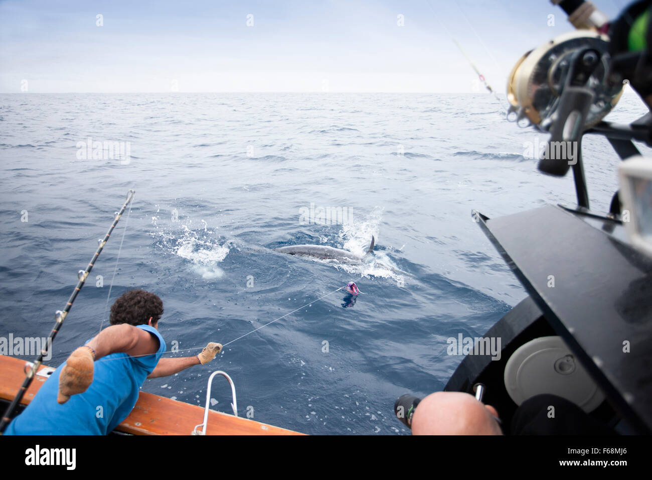 Pulling out a fish hi-res stock photography and images - Alamy