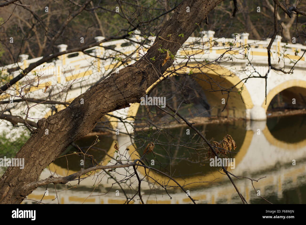 Walk bridge china national park hi-res stock photography and images - Alamy