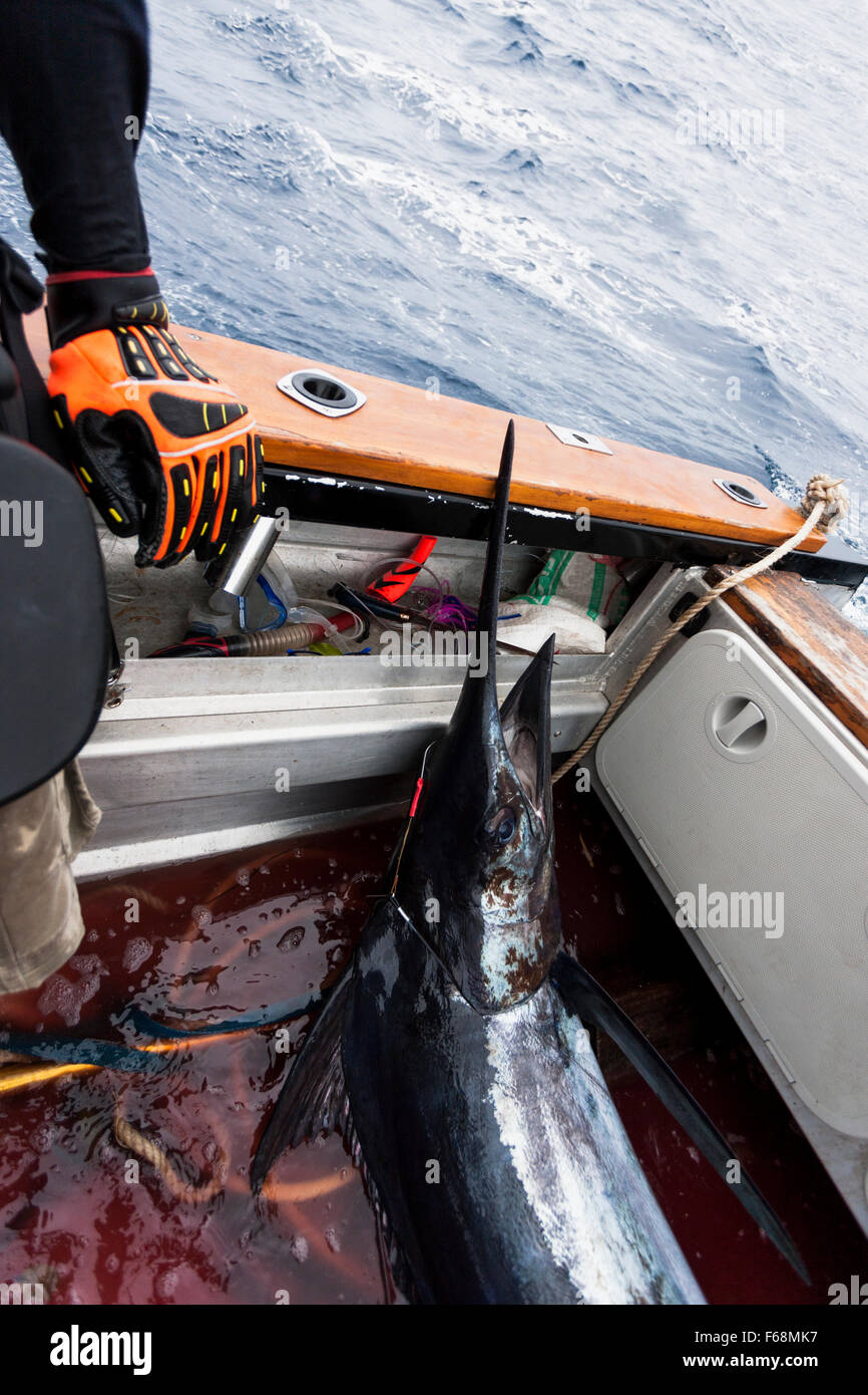 Bathed in sweat hi-res stock photography and images - Alamy