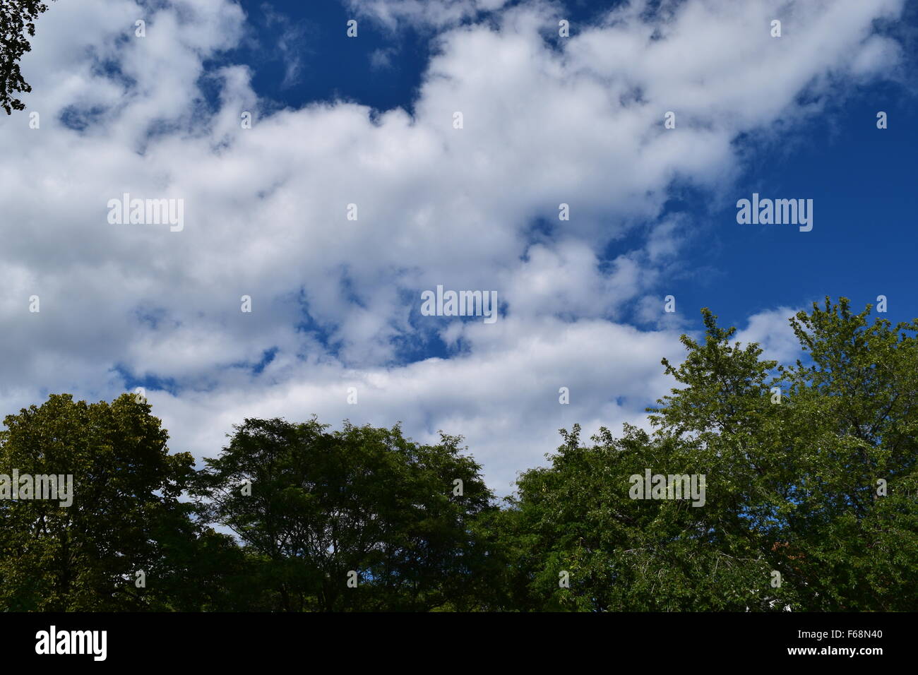 Clouds over trees Stock Photo - Alamy