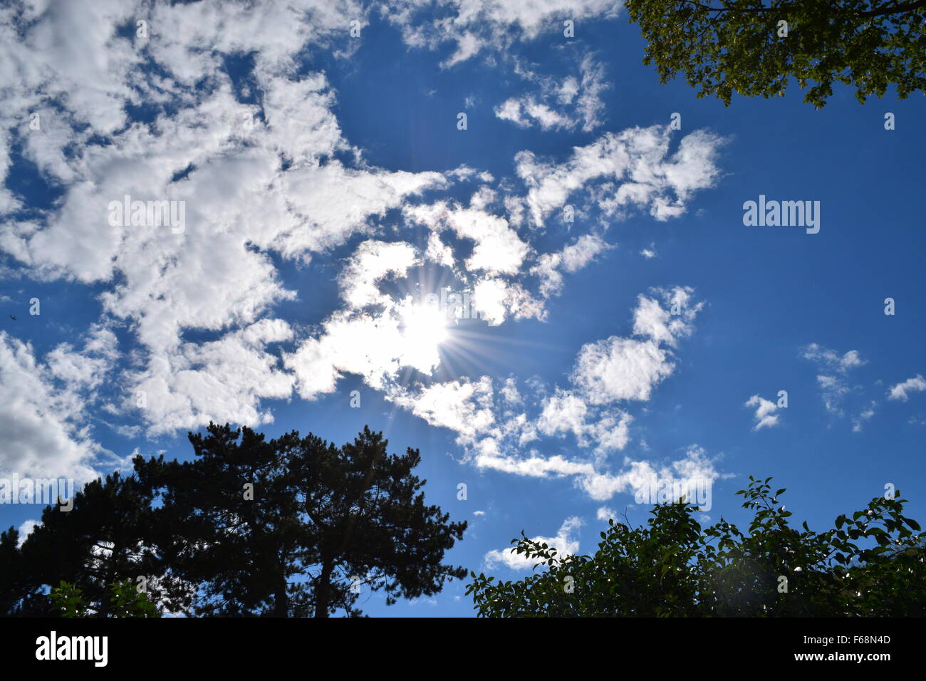 Sun shining through the clouds over treetops Stock Photo - Alamy