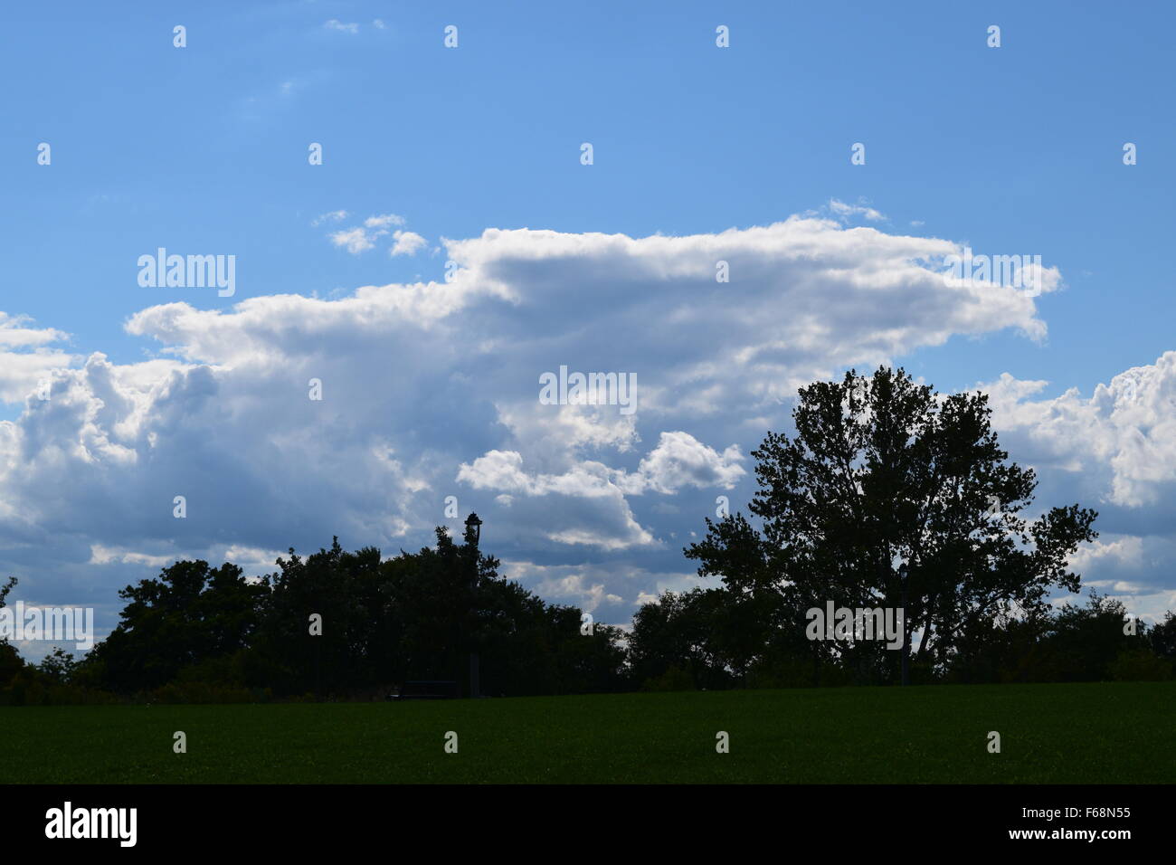Over the treetops hi-res stock photography and images - Alamy