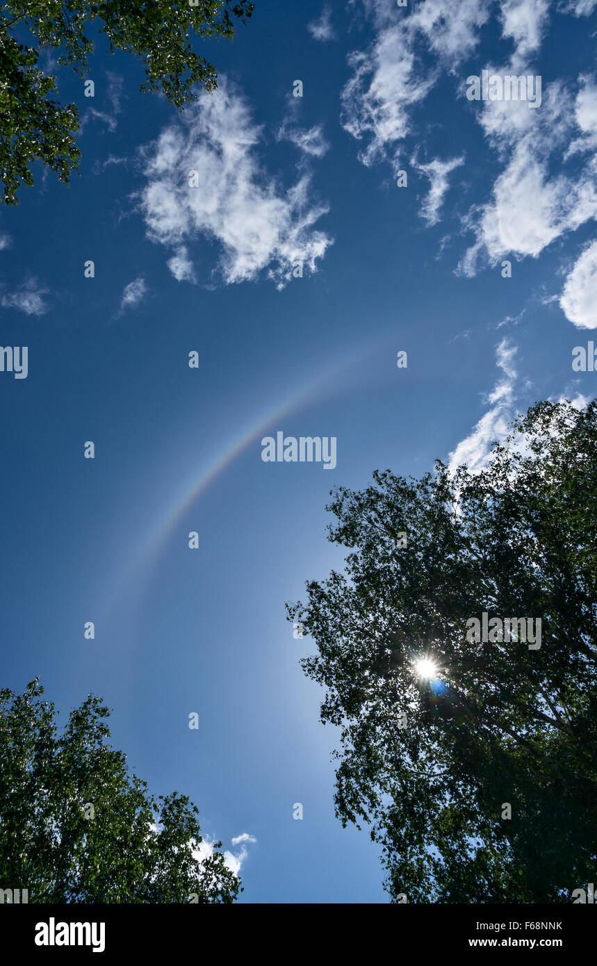 Solar halo in blue sky among trees Stock Photo - Alamy