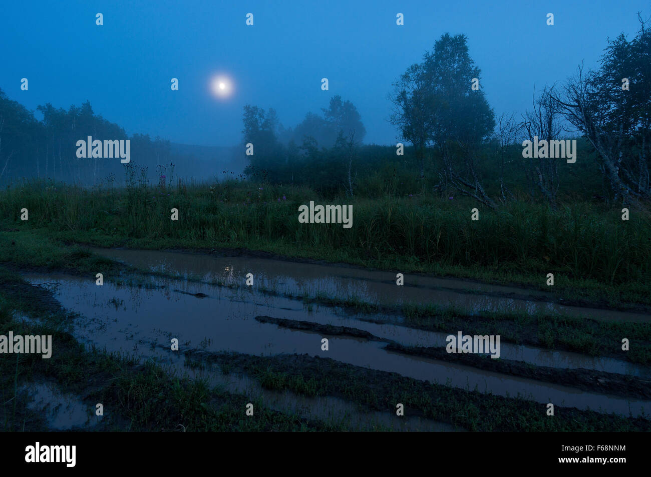Landscape with Moon shines through thick fog Stock Photo - Alamy