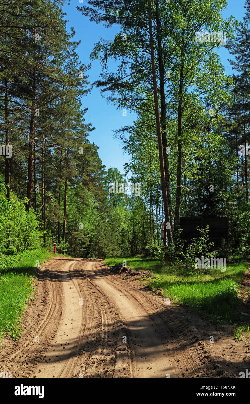 Road to forest Stock Photo - Alamy