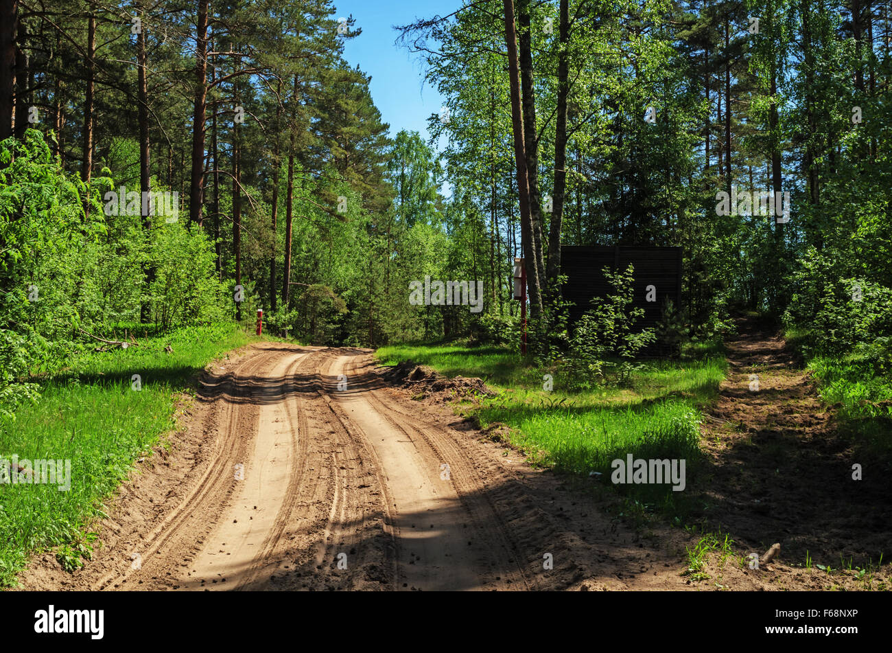 Road to forest Stock Photo - Alamy