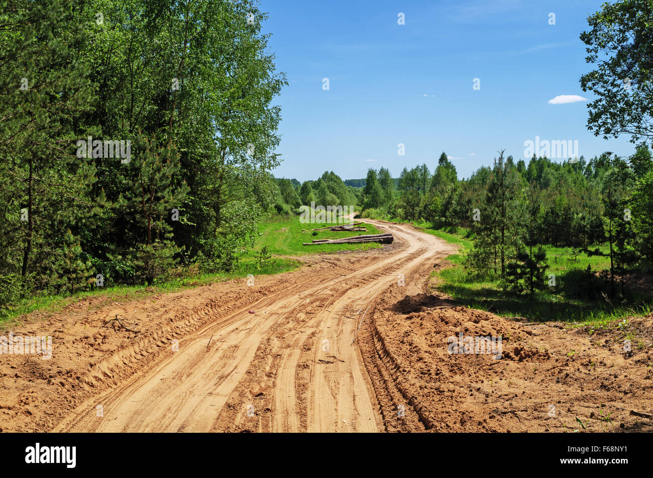 Road to forest Stock Photo - Alamy