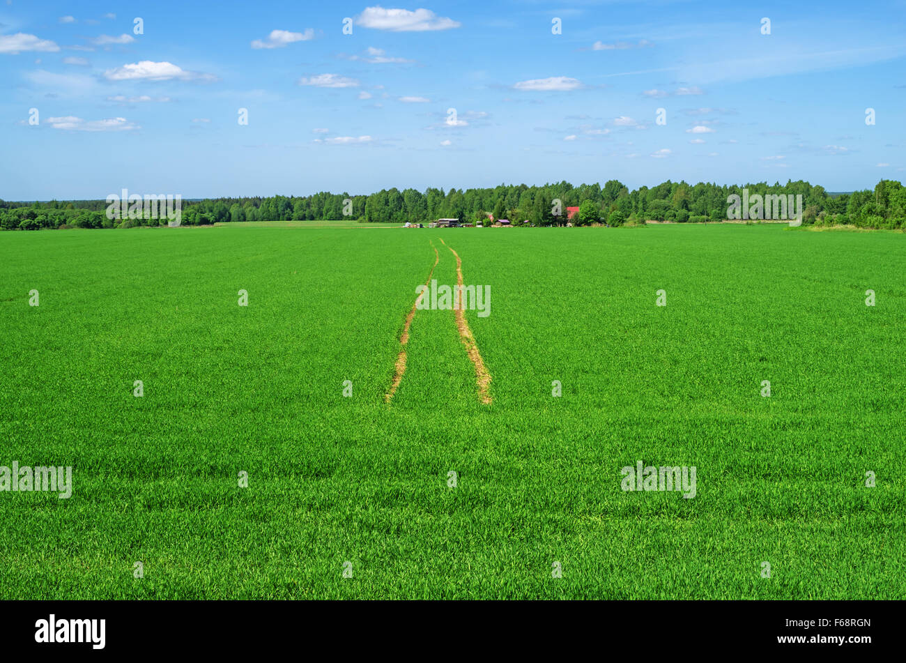 Spring agricultural field Stock Photo - Alamy