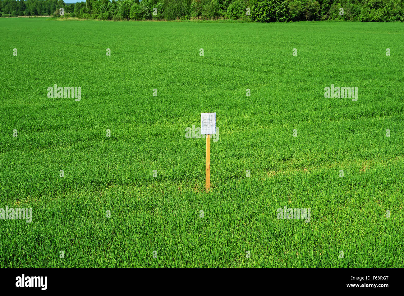 Spring agricultural field Stock Photo - Alamy