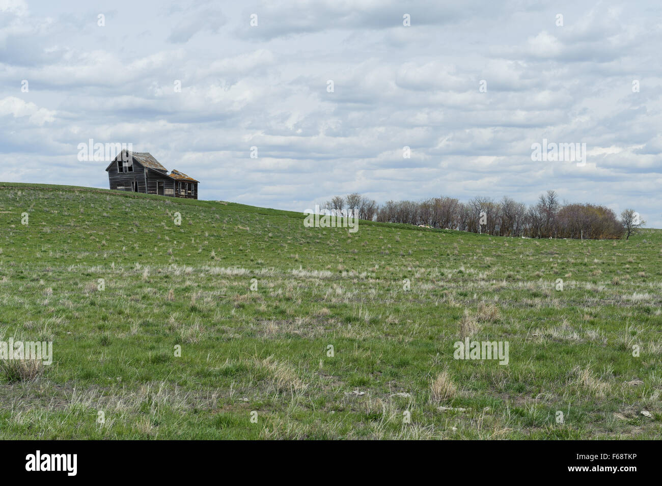 old deserted farm in Canadian Prairies, Old Wives Lakes, Saskatchewan ...