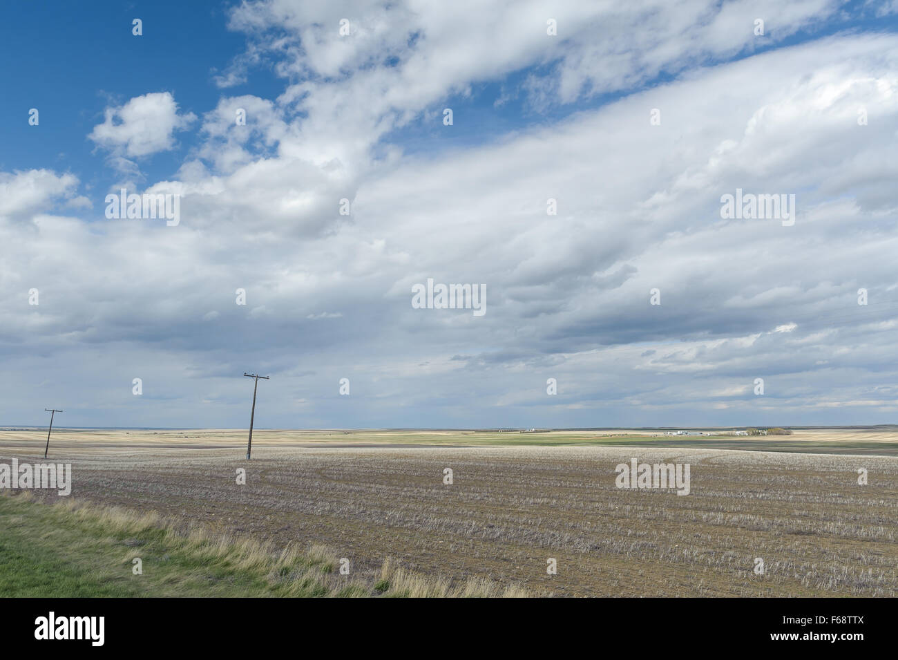 perspective view of Canadian Prairies in Mankota, Saskatchewan Stock ...