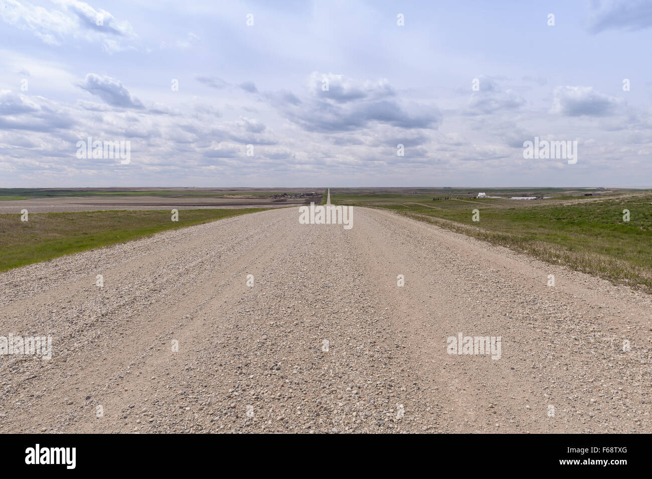 perspective view of gravel path and farmland of Canadian Prairies ...